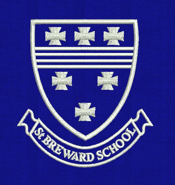 St Breward Primary School – WOVINA